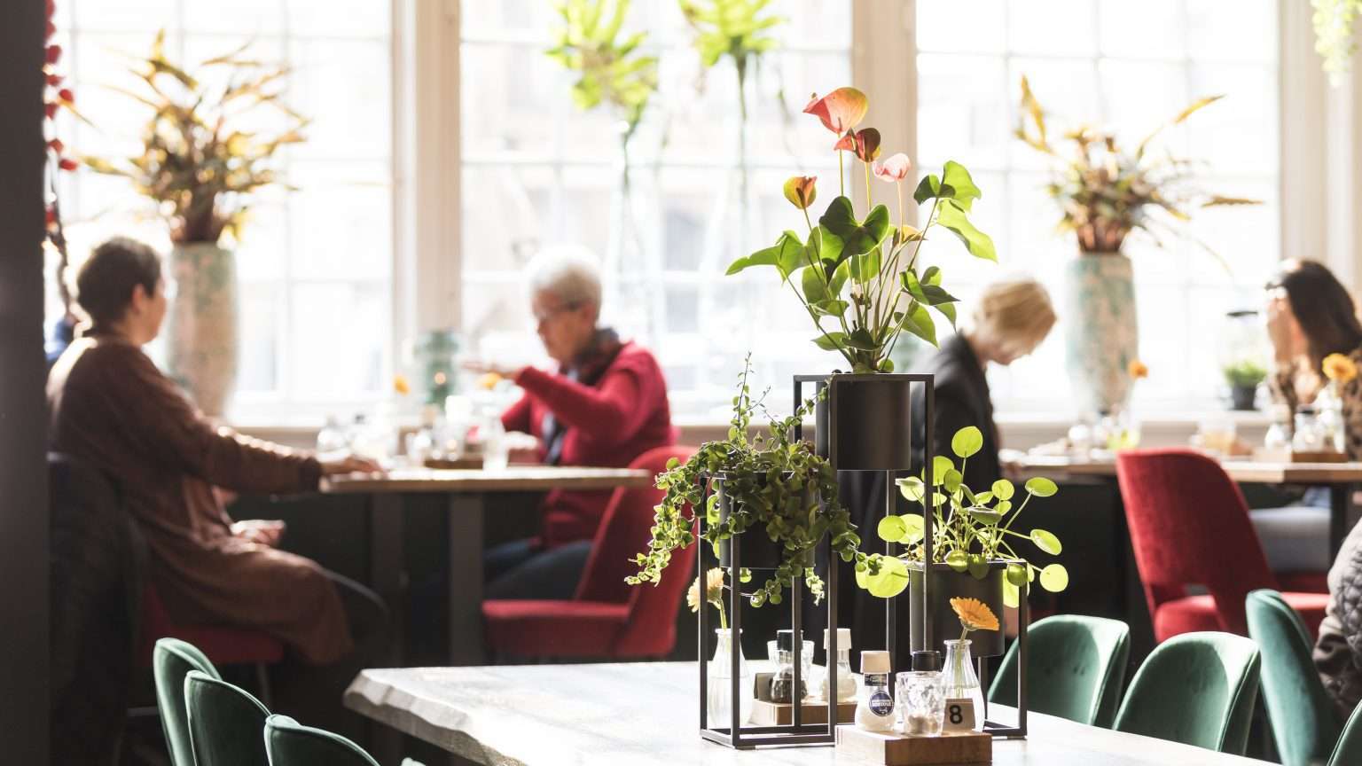In de Roos & Raadskelder - Lunchen, dineren en vergaderen